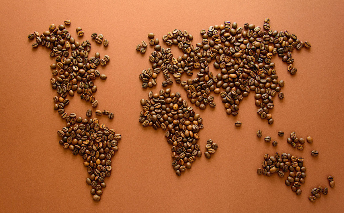 Why drinking Typica Coffee from Kauai is far from typical – Kauai Coffee
